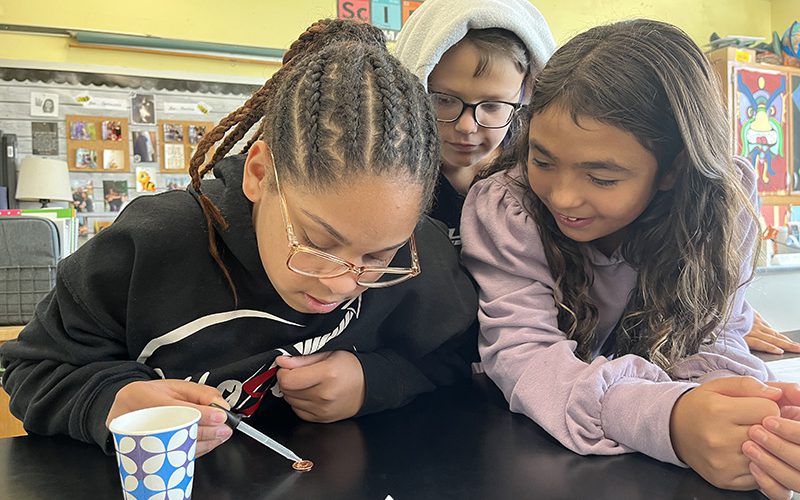 Crispell Middle School - Pine Bush Central School District