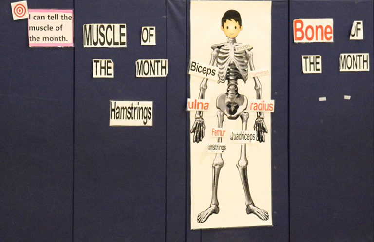 EJR students are learning about their bones, muscles and all about ...